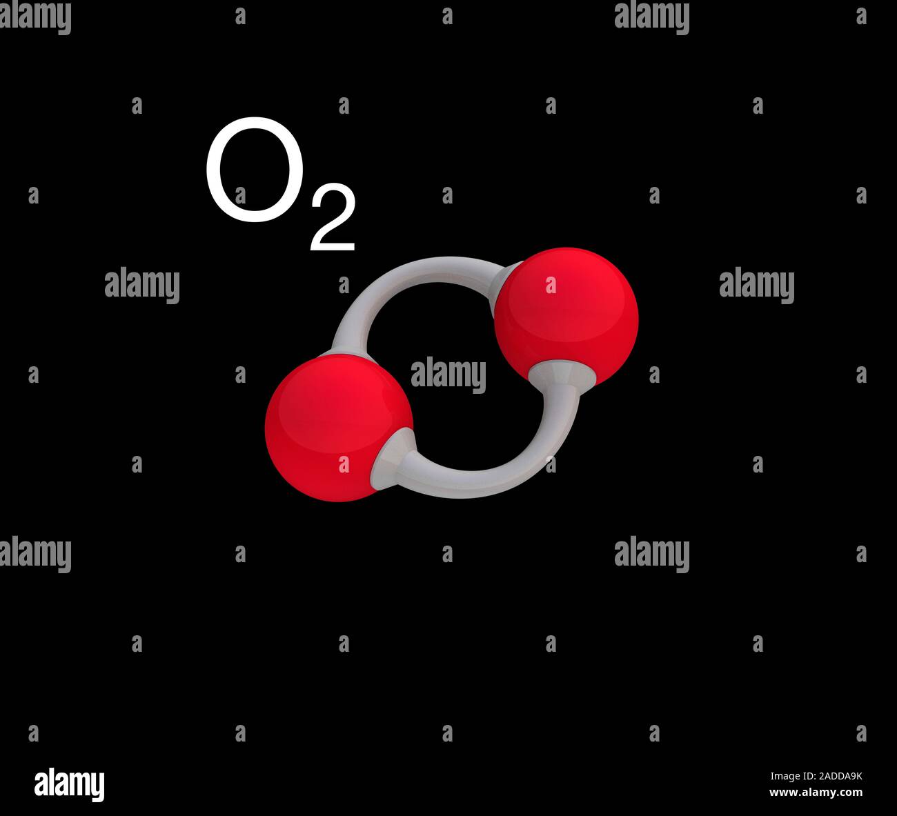 Oxygen molecule. Computer illustration showing the structure of a ...