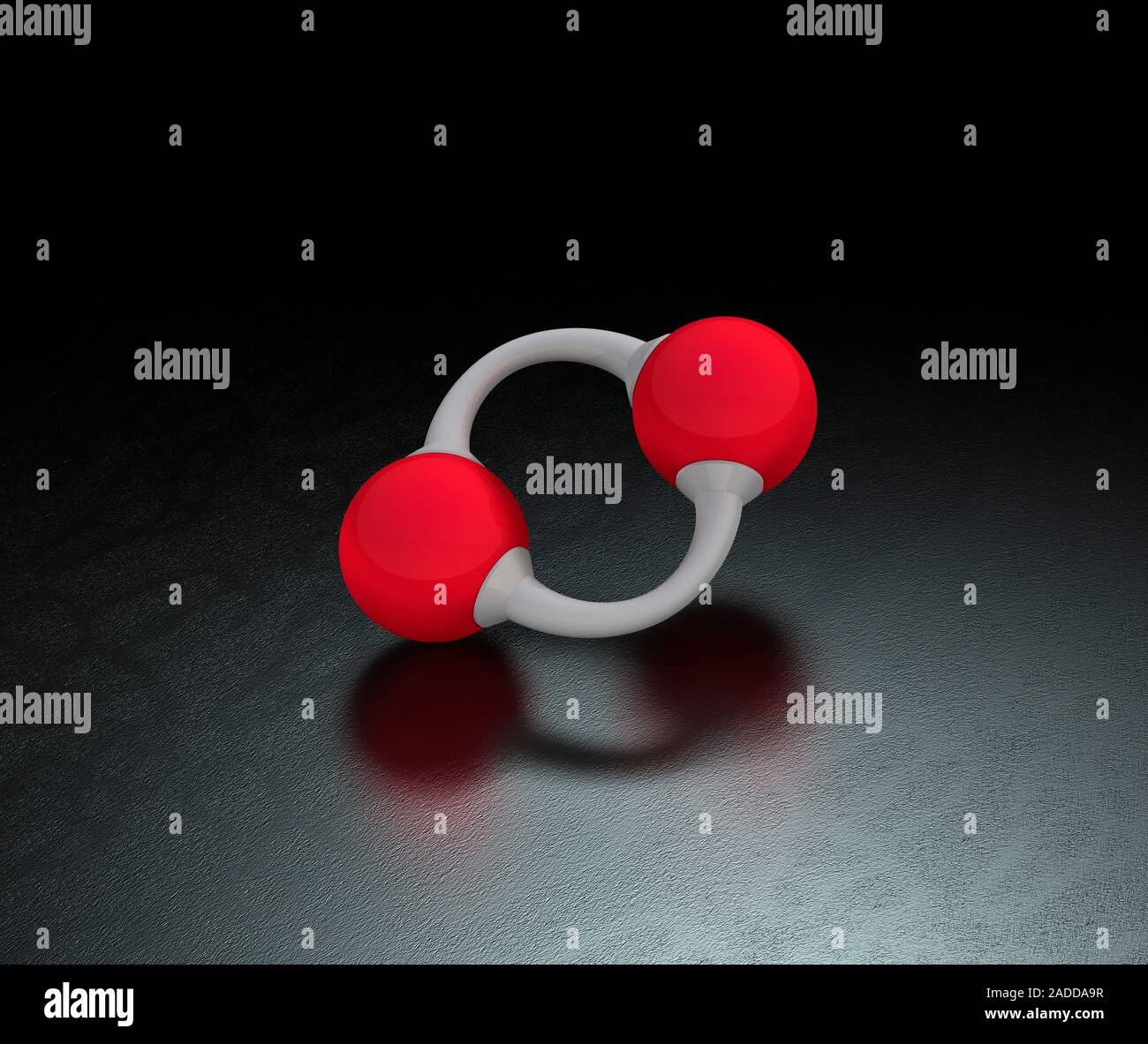 Oxygen molecule. Computer illustration showing the structure of a ...