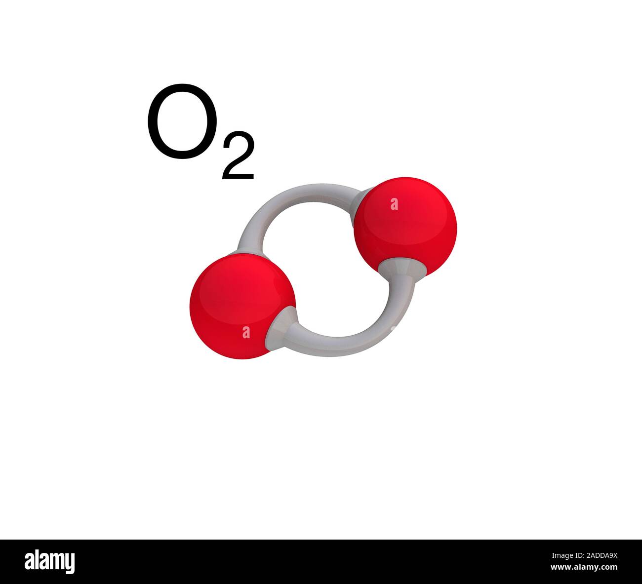 Oxygen molecule. Computer illustration showing the structure of a ...
