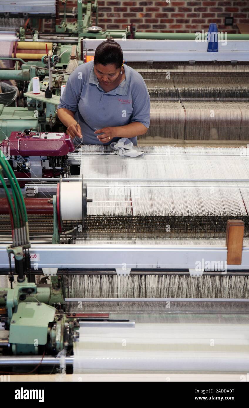 Textile mill. Dornier looms in use in a textile mill. This loom dates ...