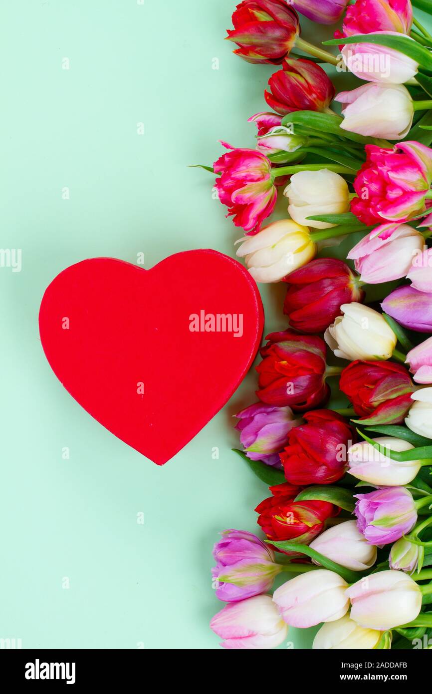 Fresh tulips flowers with heart Stock Photo - Alamy