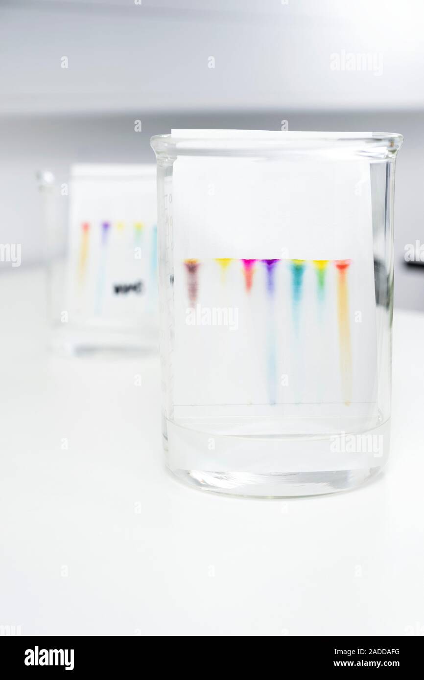 Chromatography of coloured inks. Chromatography is an analytical ...