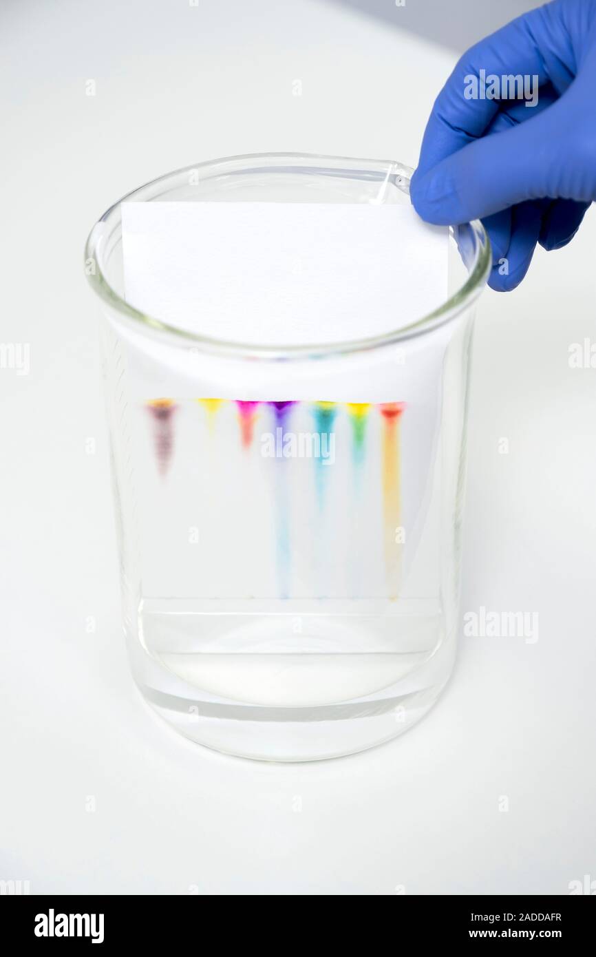Chromatography of coloured inks. Chromatography is an analytical ...
