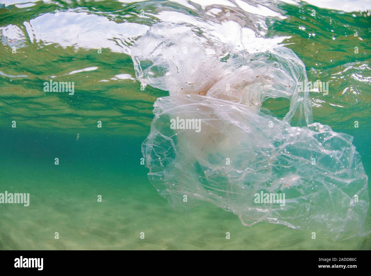 Plastic floating in ocean. Plastic pollution is a major problem in seas ...