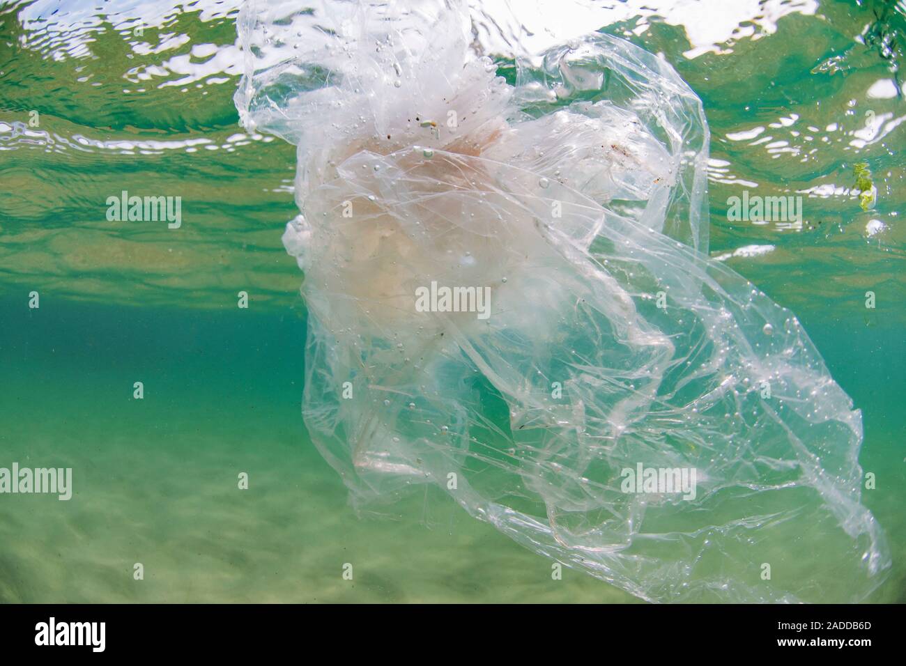 Plastic floating in ocean. Plastic pollution is a major problem in seas ...