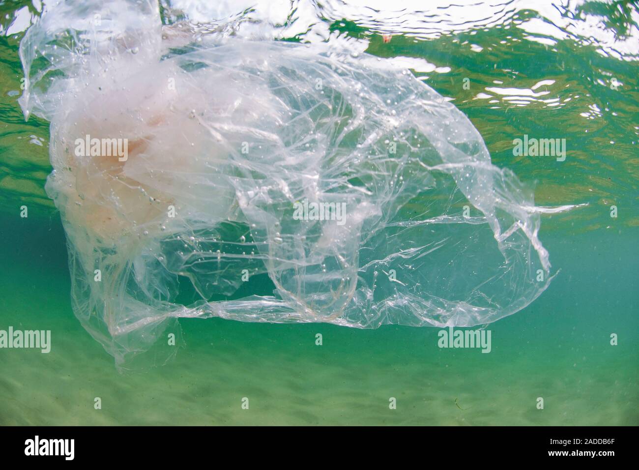 Plastic floating in ocean. Plastic pollution is a major problem in seas ...