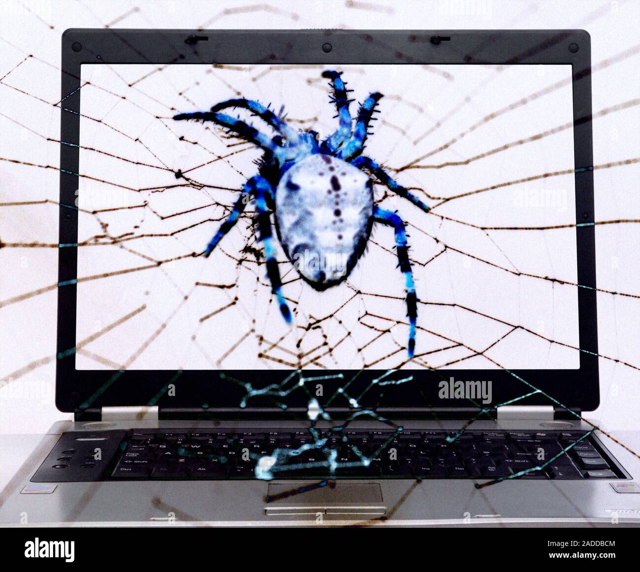 Computer virus. Conceptual image of a laptop computer enmeshed in a ...