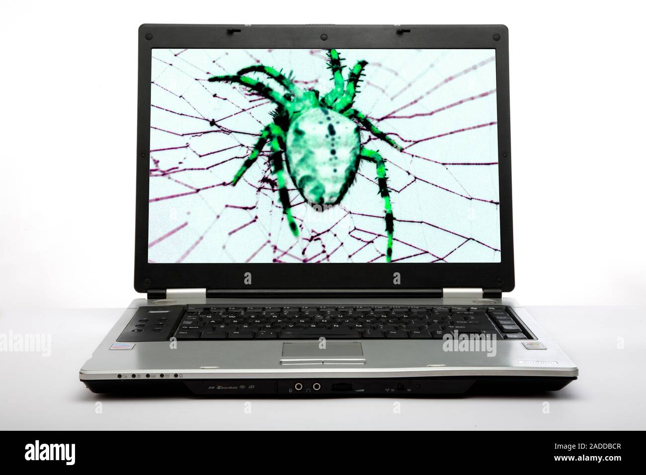 Computer virus. Conceptual image of a laptop computer displaying a ...