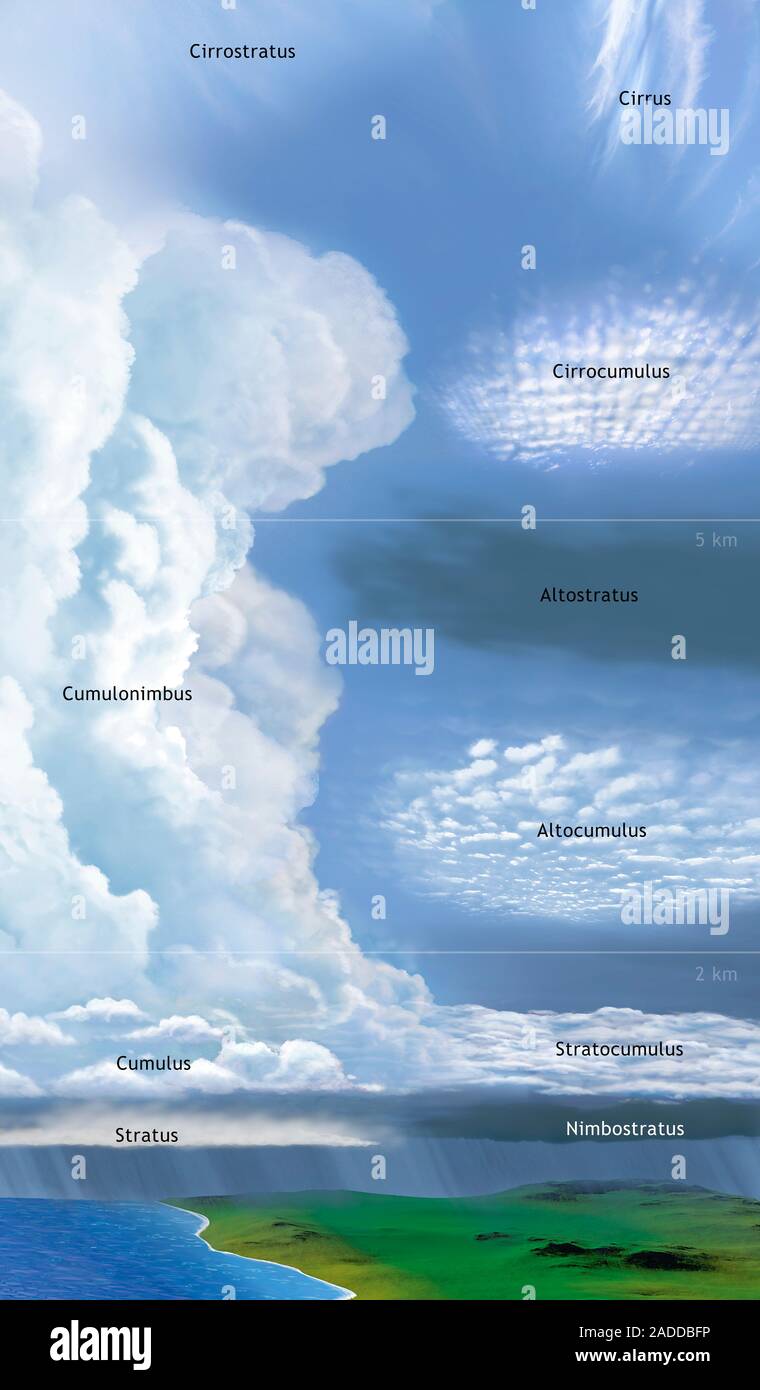 Illustration Of The Various Cloud Types And The Altitudes At Which They illustration-of-the-various-cloud-types-and-the-altitudes-at-which-they