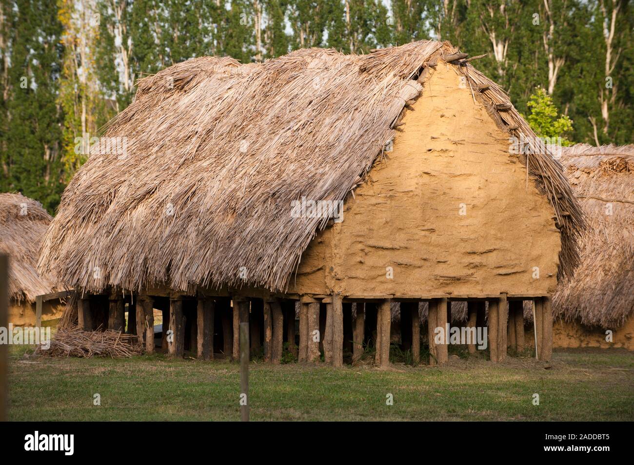 Reconstructed Neolithic hut. This reconstructed hut on stilts is part ...
