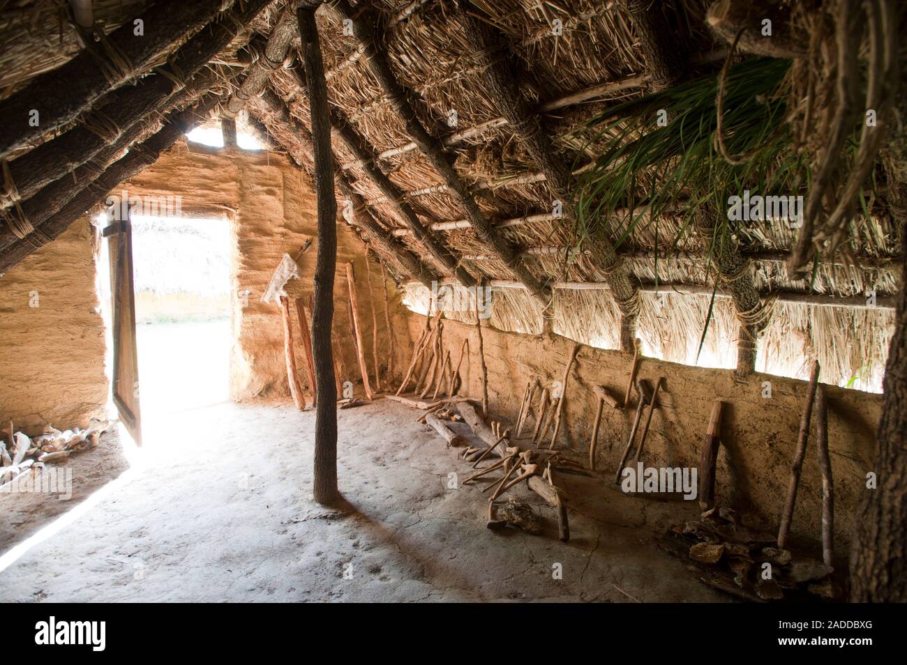 Interior of reconstructed Neolithic hut. This reconstructed hut is part ...