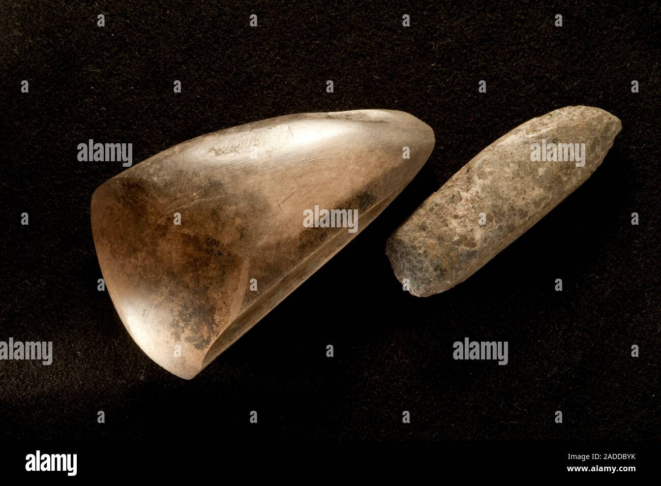 Stone adze heads excavated from La Draga Neolithic site. This site ...