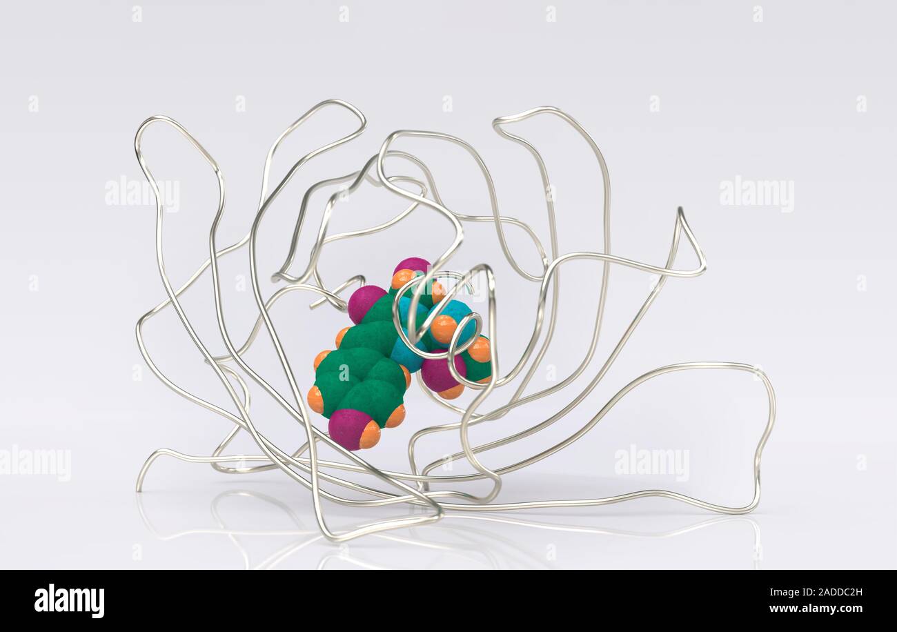 Green fluorescent protein (GFP) with a cofactor, molecular model. The ...