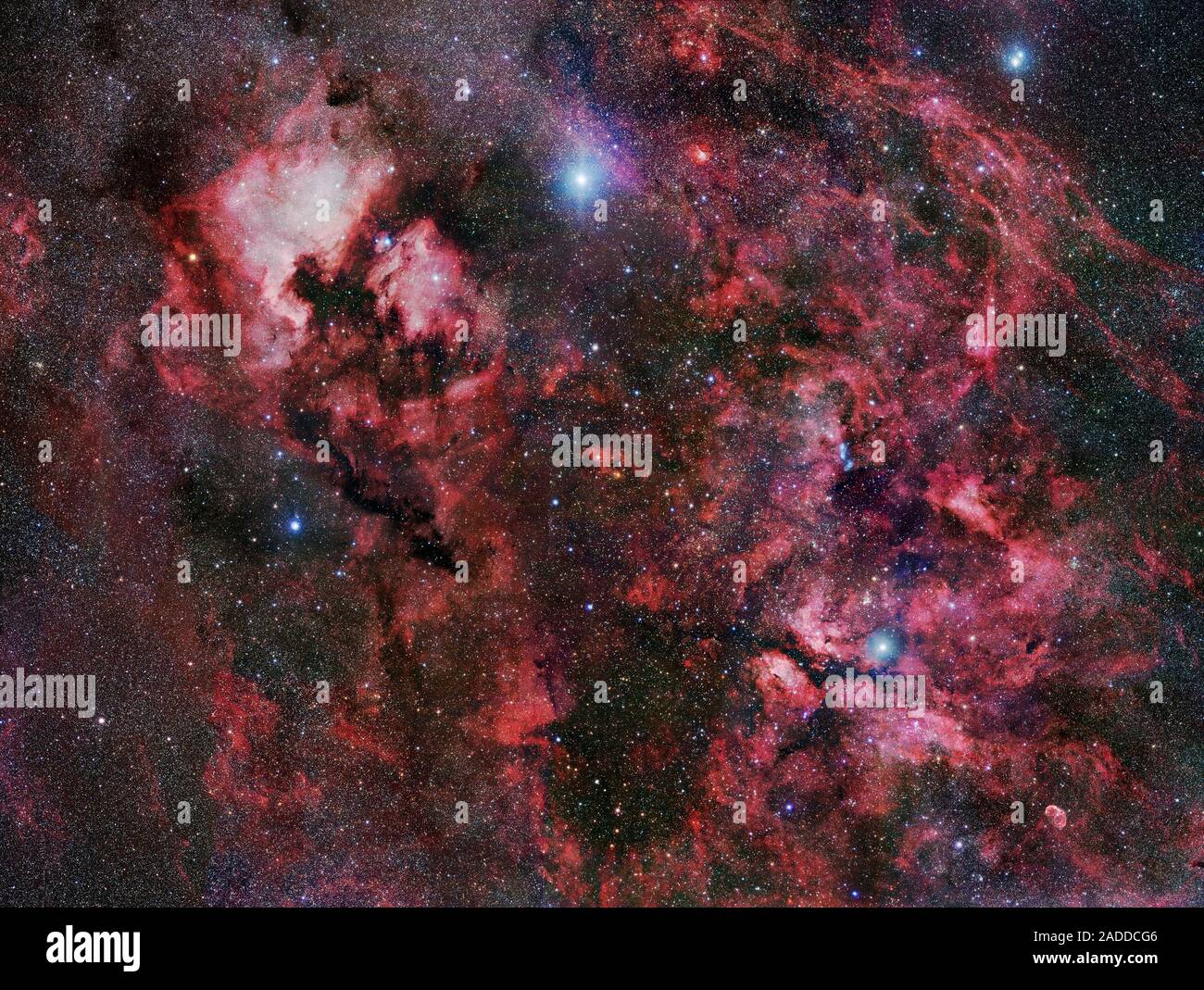 Butterfly nebula (IC 1318). Composite optical image of the emission ...