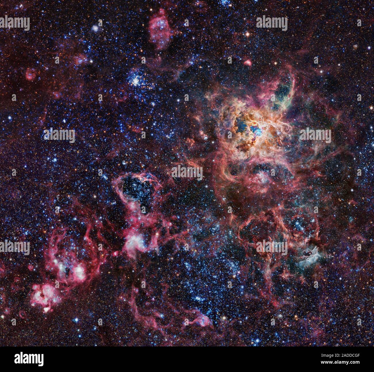 Tarantula Nebula. Composite image of the Tarantula Nebula (30 Doradus, NGC 2070). The Tarantula ...