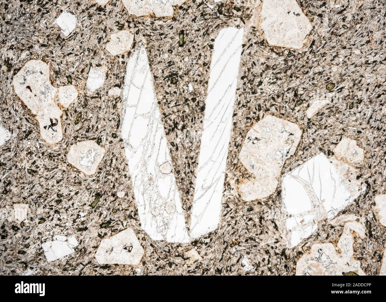 Phonolite mineral rock crystals, polarised light micrograph. This rock ...