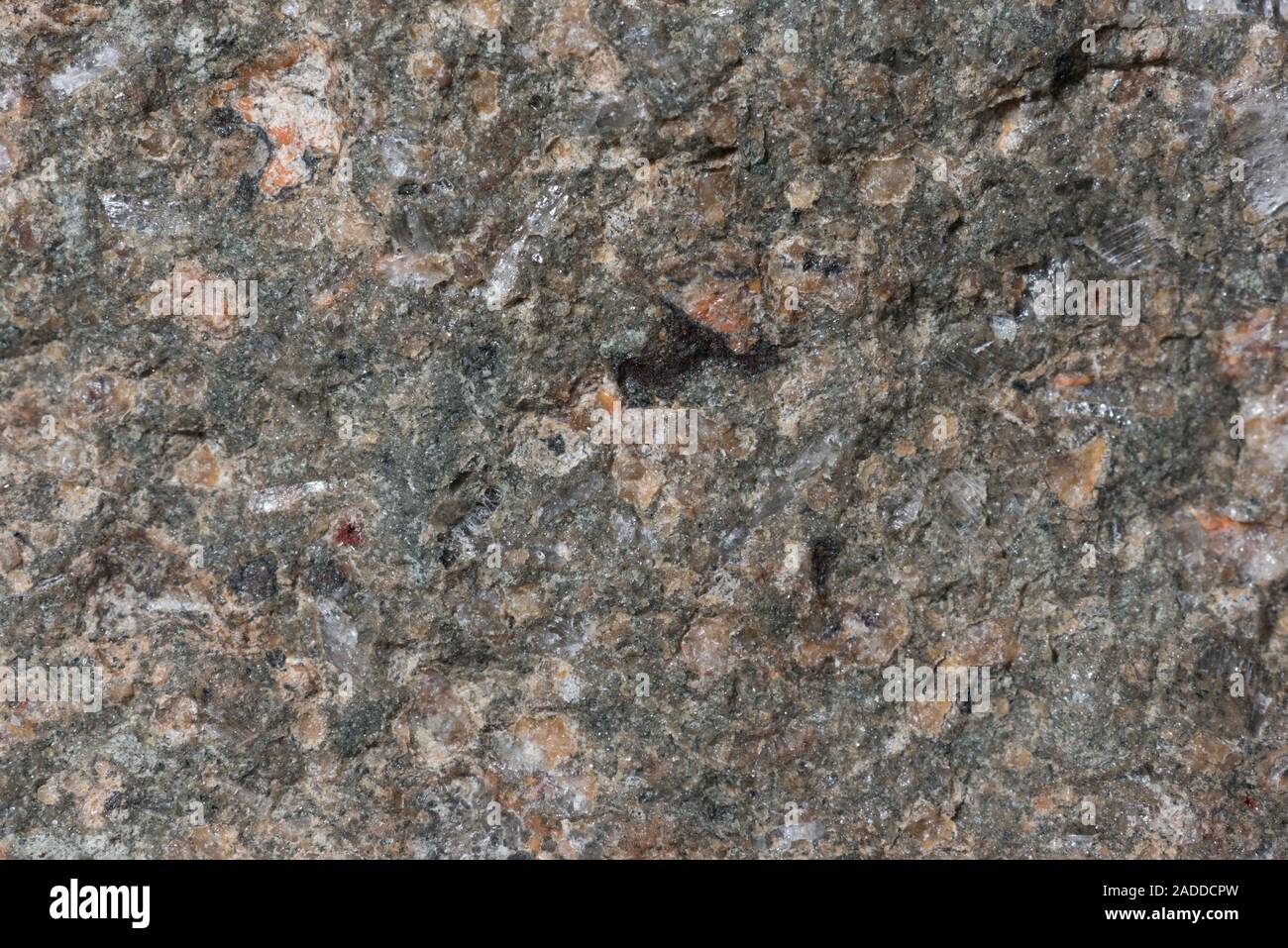 Phonolite rock rock surface, macrophotograph. This rock consists of ...