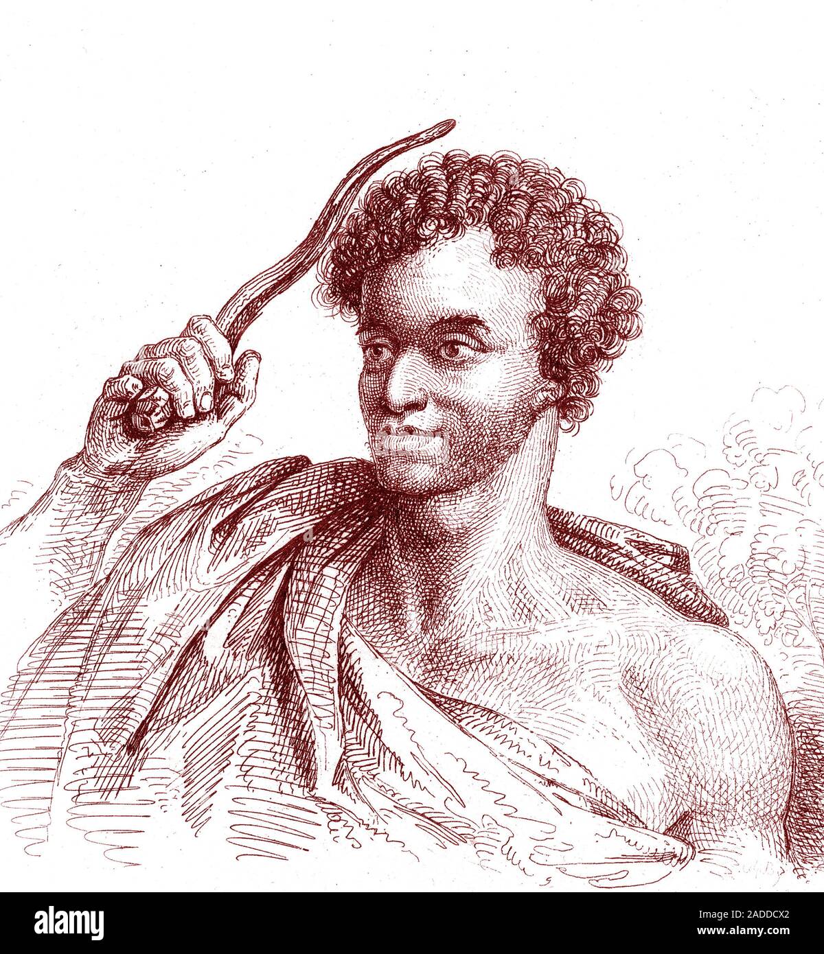 Tonga tribal chief, 19th century. The Tonga islands are located in the ...