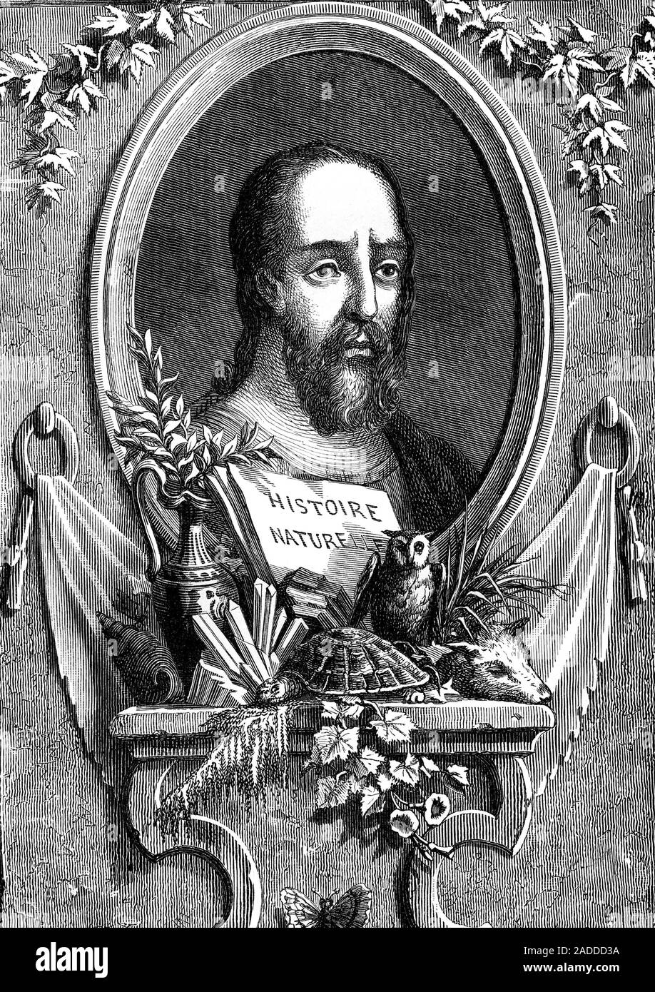 Pliny the Elder (23-79 AD), Roman naturalist and author. Pliny was the ...
