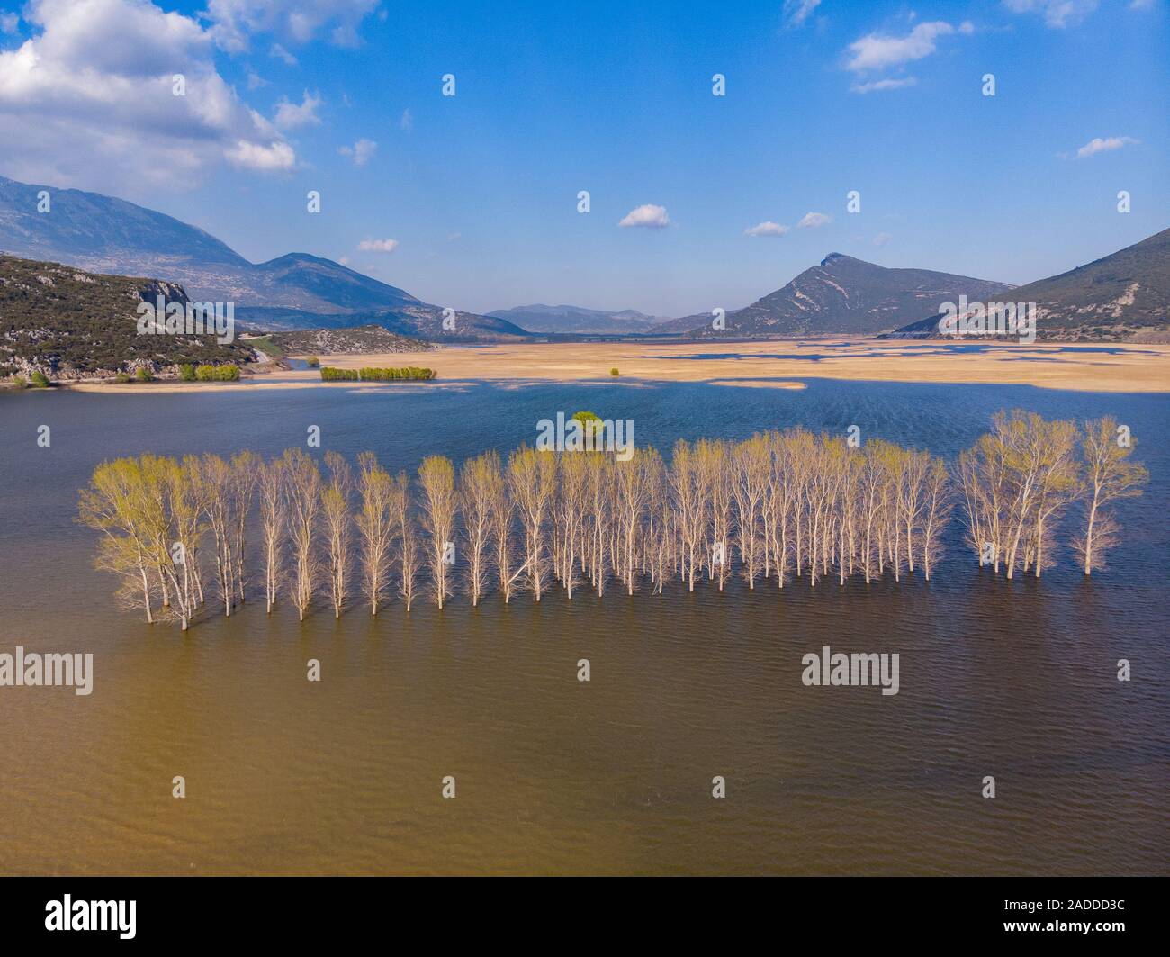 Stymphalia hi-res stock photography and images - Alamy