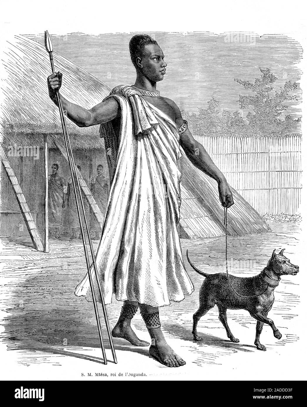 Muteesa I of Buganda (1837-1884), 19th-century illustration. Muteesa I ...