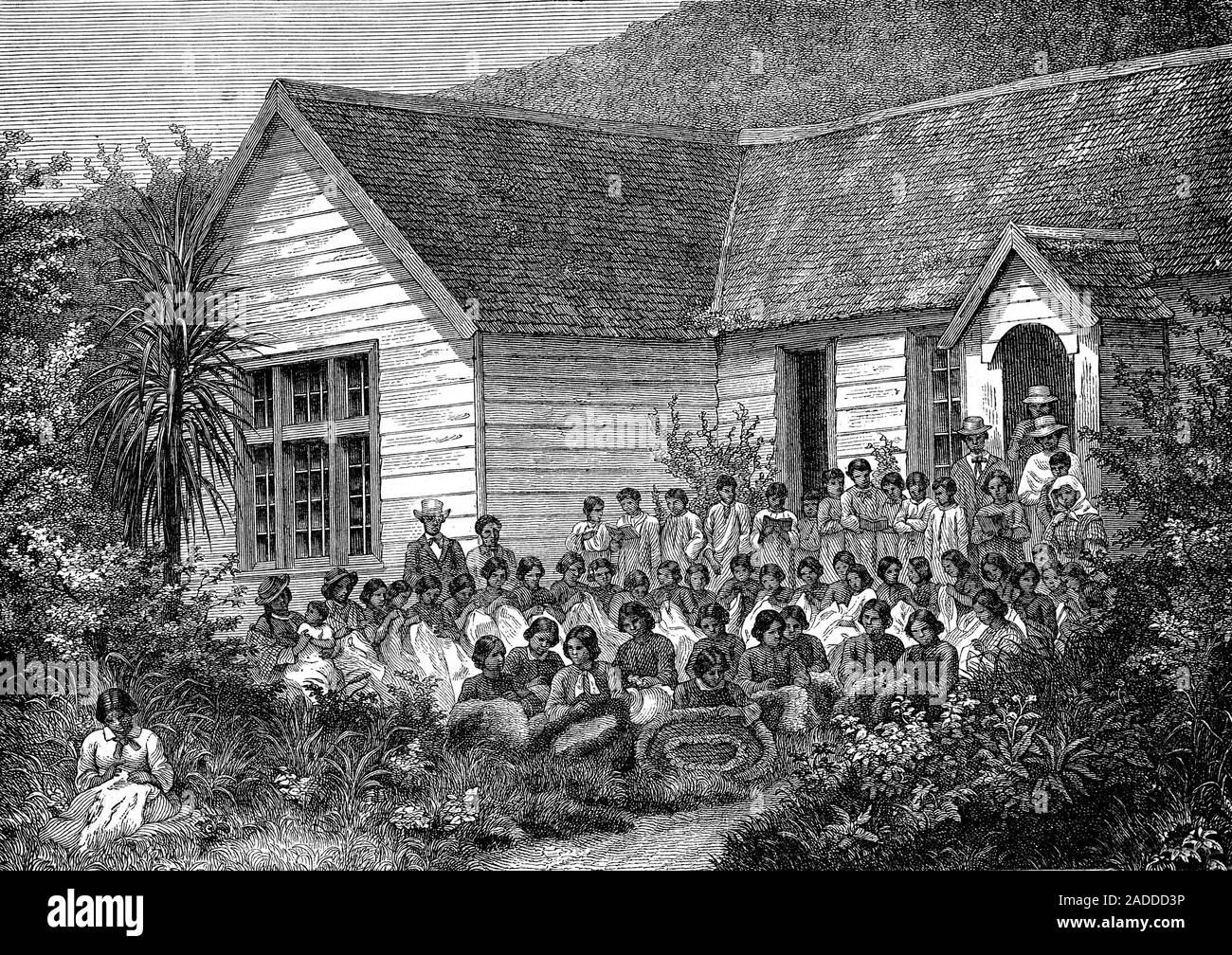 Maori school in New Zealand. 19th-century illustration of Maori ...