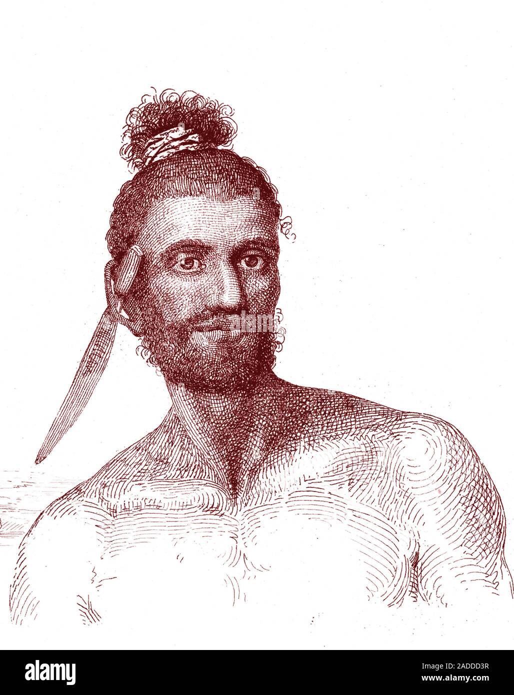 Cook Islands man. 19th-century illustration of a man from the island of ...