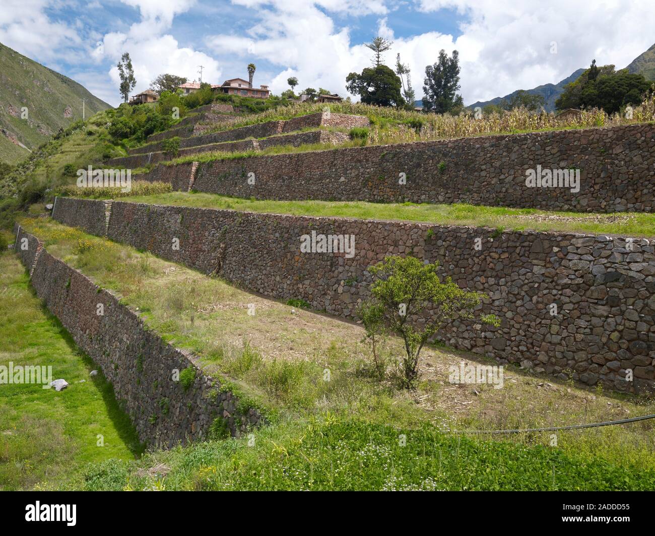 Inca ruins. Grass-covered ruins at the Incan archaeological site at ...