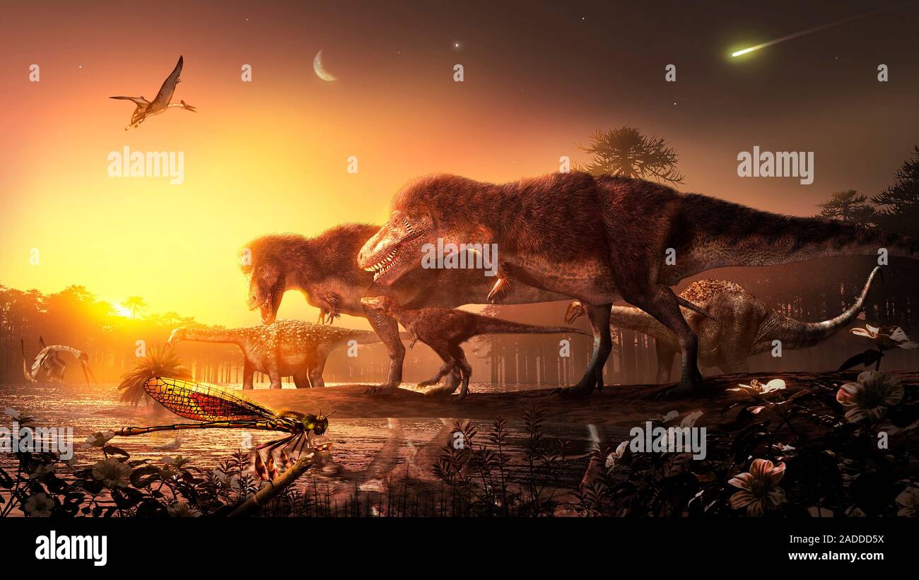Tyrannosaurus dinosaurs. Computer illustration showing a number of ...