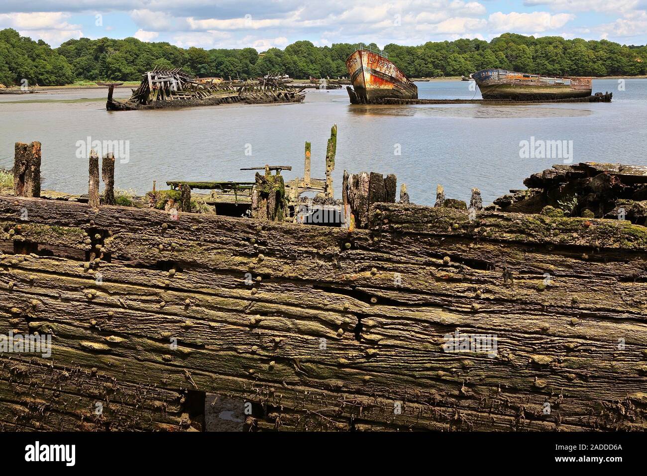 Boat graveyard, Brittany, France. Decaying hulls of scrapped fishing ...