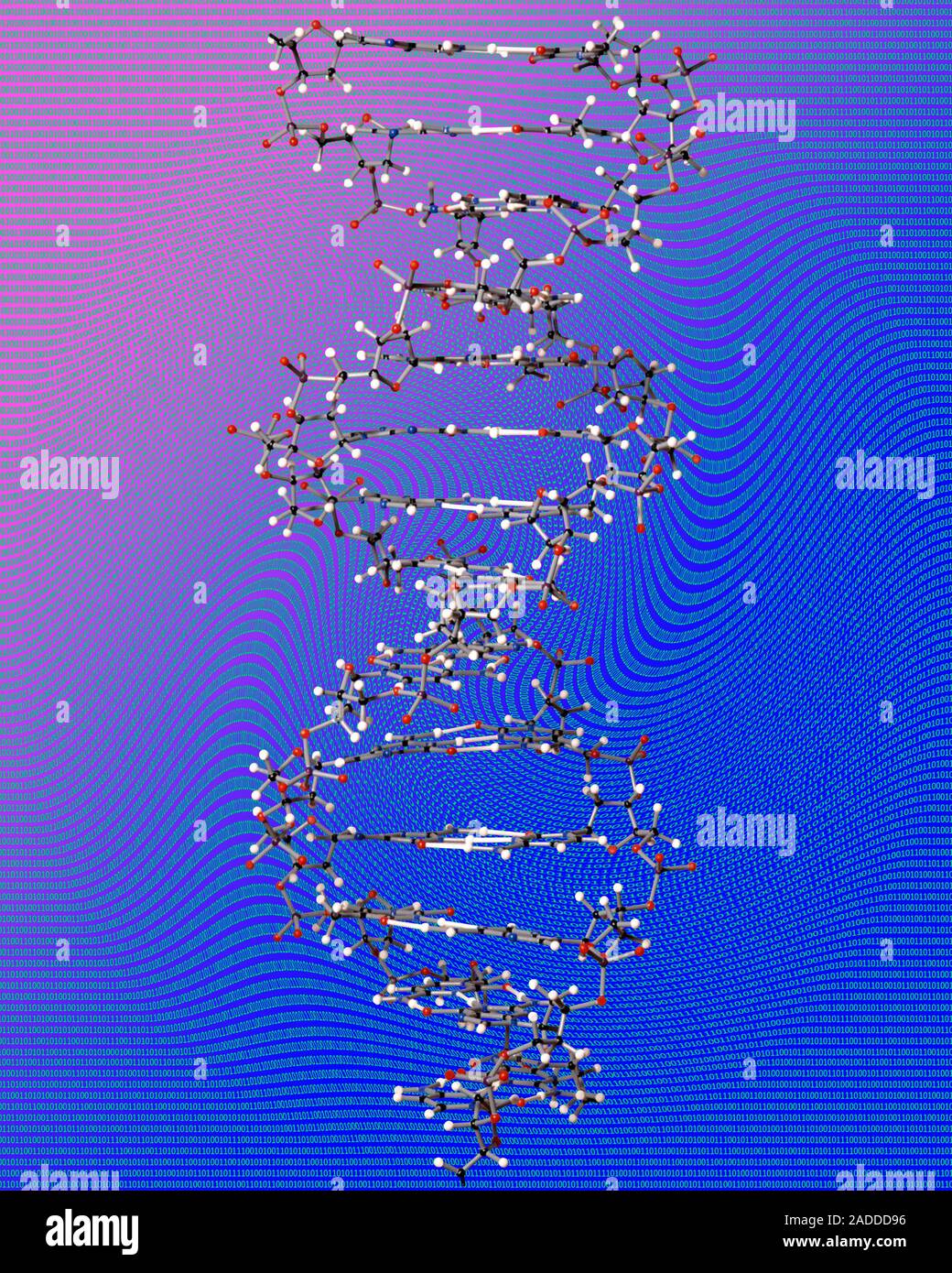 Dna Storage Conceptual Image Computer Illustration Of A Strand Of Dna Deoxyribonucleic Acid