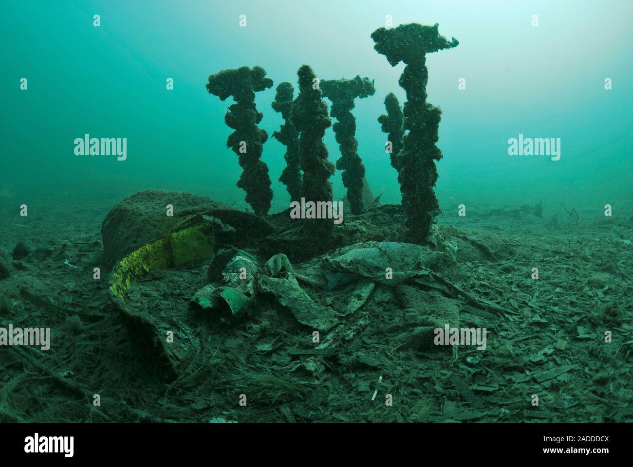 Marine waste polluting the seabed. Rubbish that is not biodegradable ...