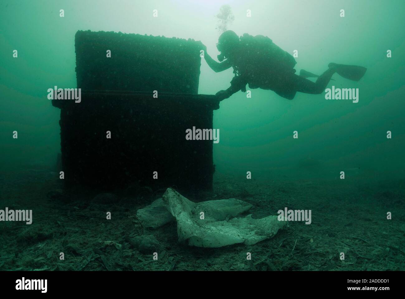 Diver with marine waste polluting the seabed. Rubbish that is not ...