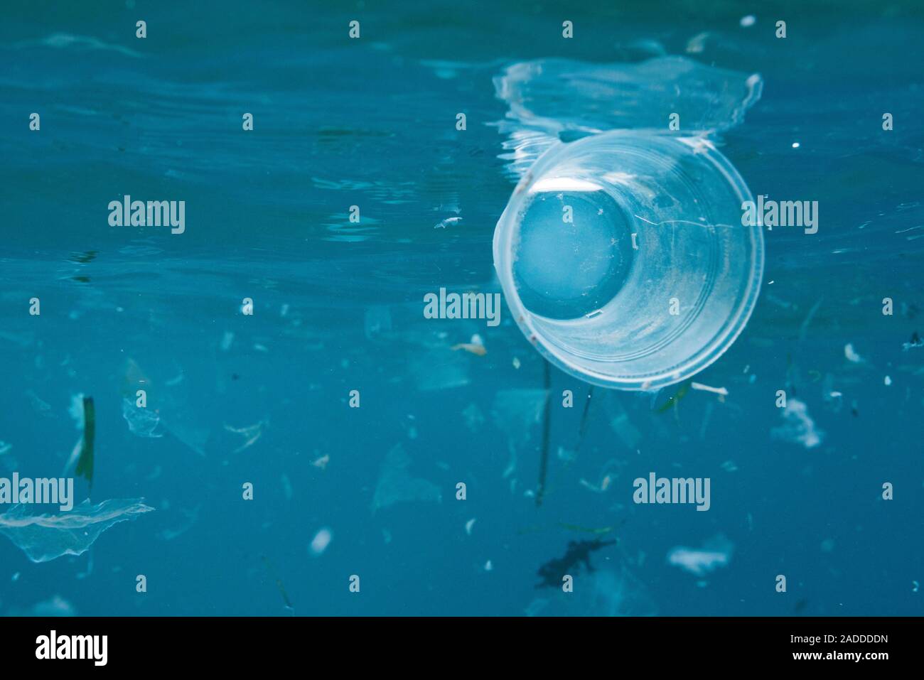 Plastic waste floating in the sea. Plastic waste is typically not ...