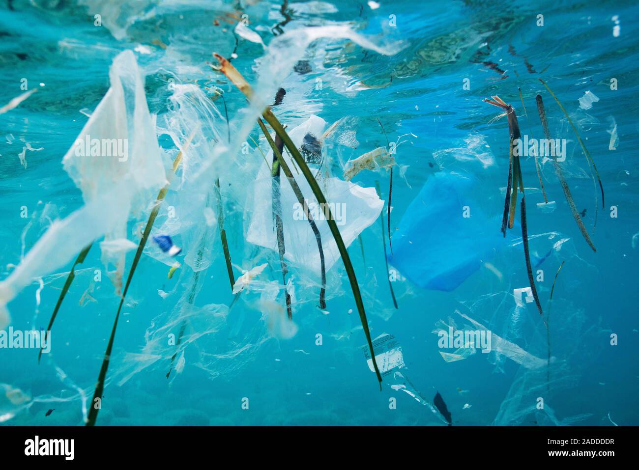 Plastic waste floating in the sea. Plastic waste is typically not ...