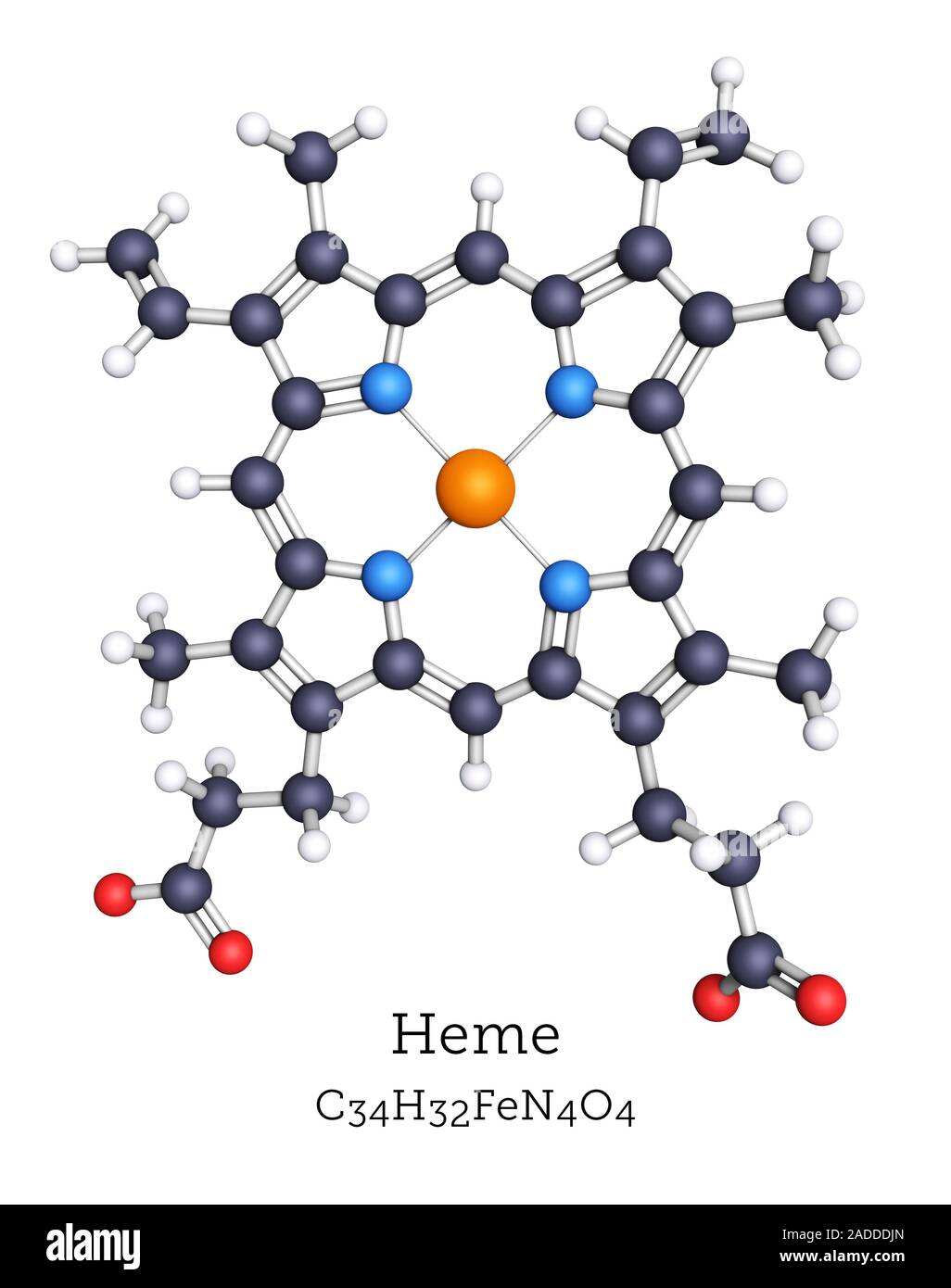 Heme molecule. Heme-containing proteins have a diverse set of functions ...