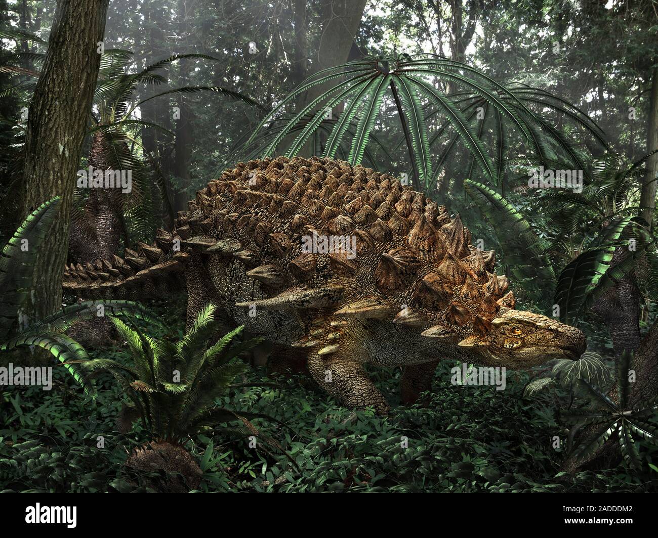 Borealopelta ankylosaur dinosaur, illustration. The only species in ...