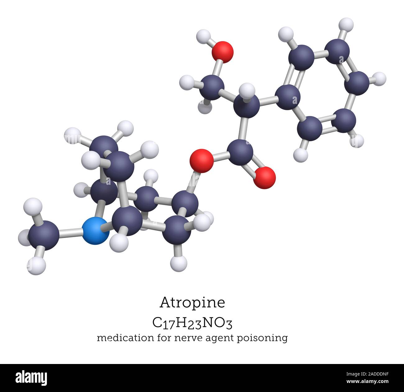 Atropine drug molecule. Atropine is a natural alkaloid found in the ...