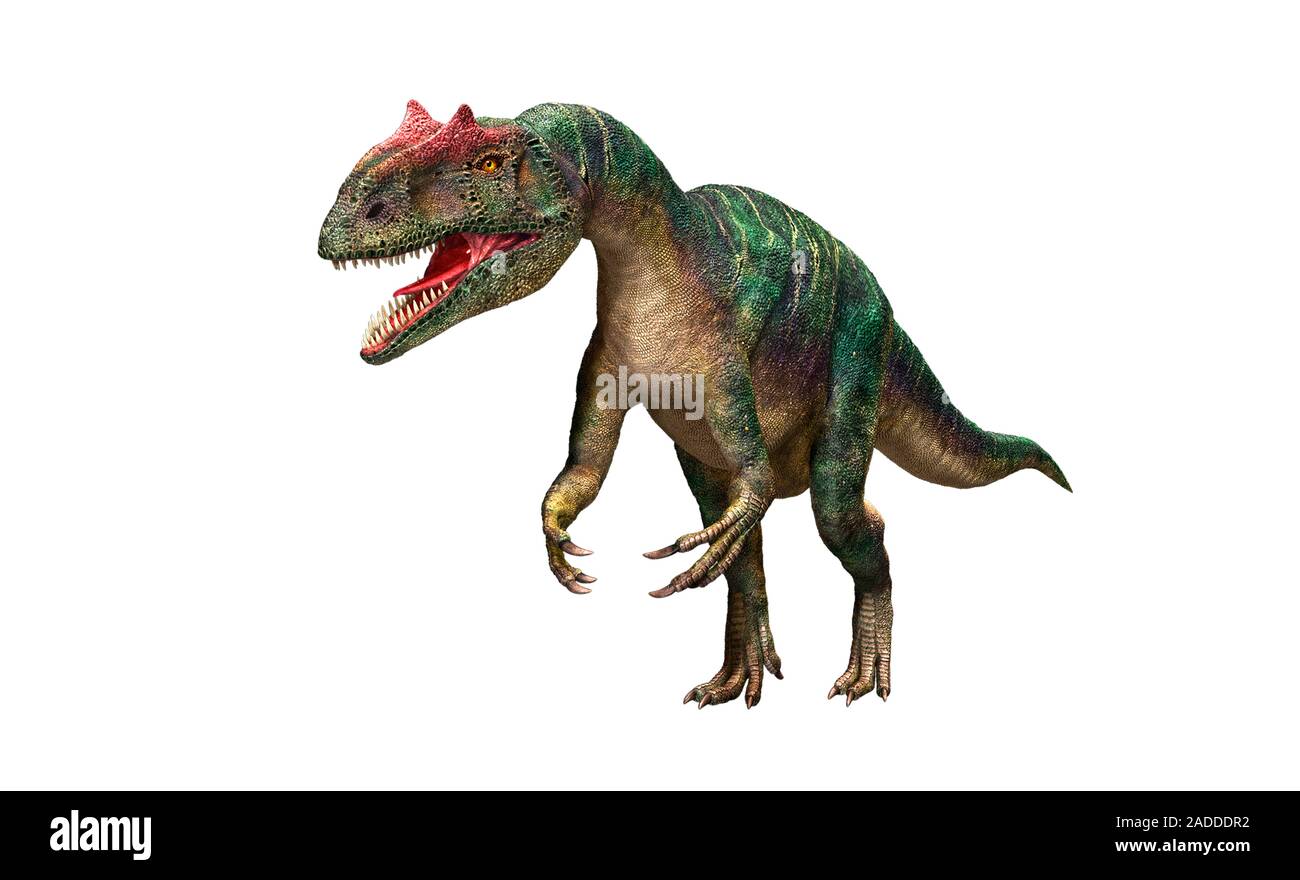 Allosaurus dinosaur, illustration. Allosaurus was a carnivorous predatory theropod dinosaur that ...