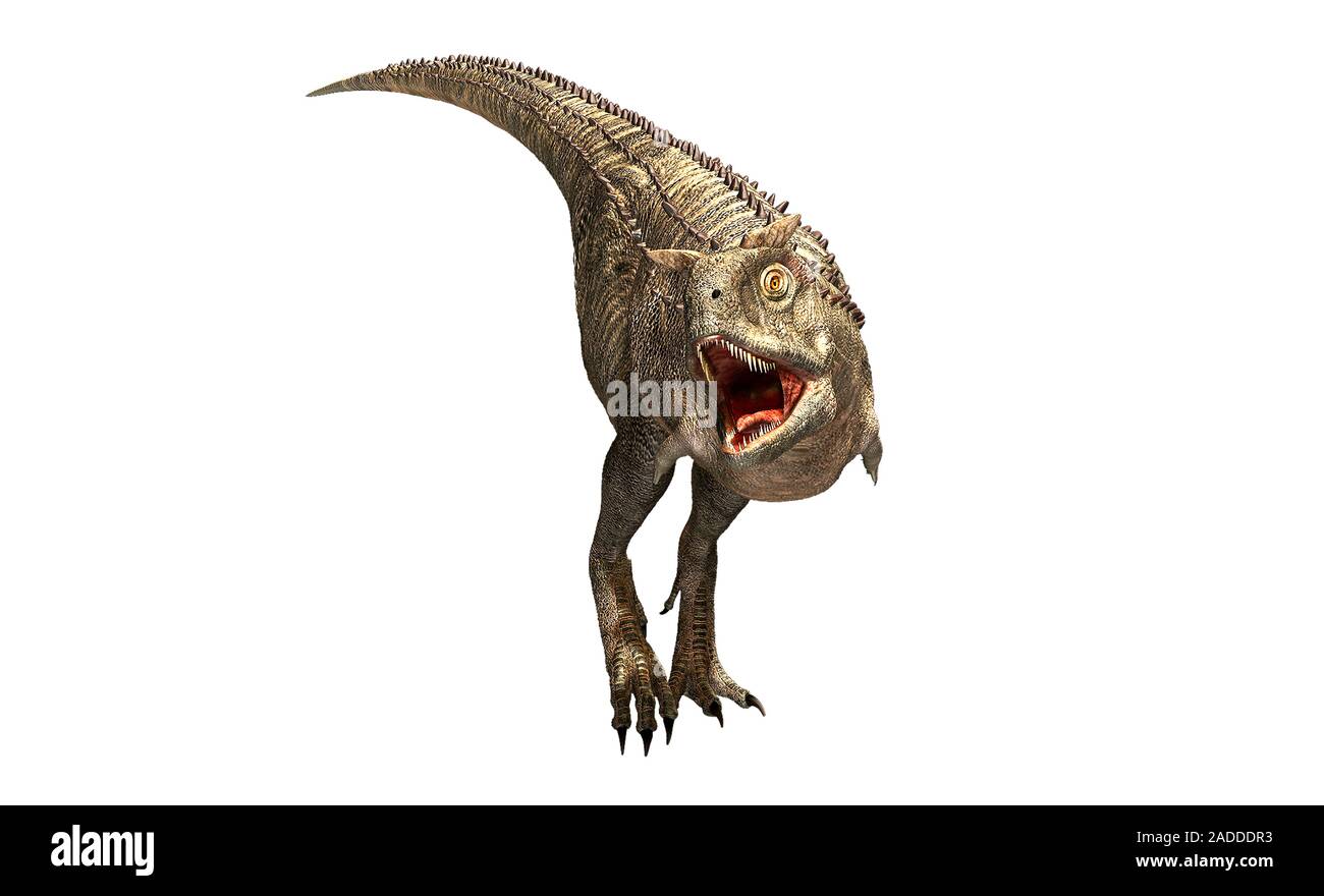 Carnotaurus dinosaur, illustration. Carnotaurus was a carnivorous ...
