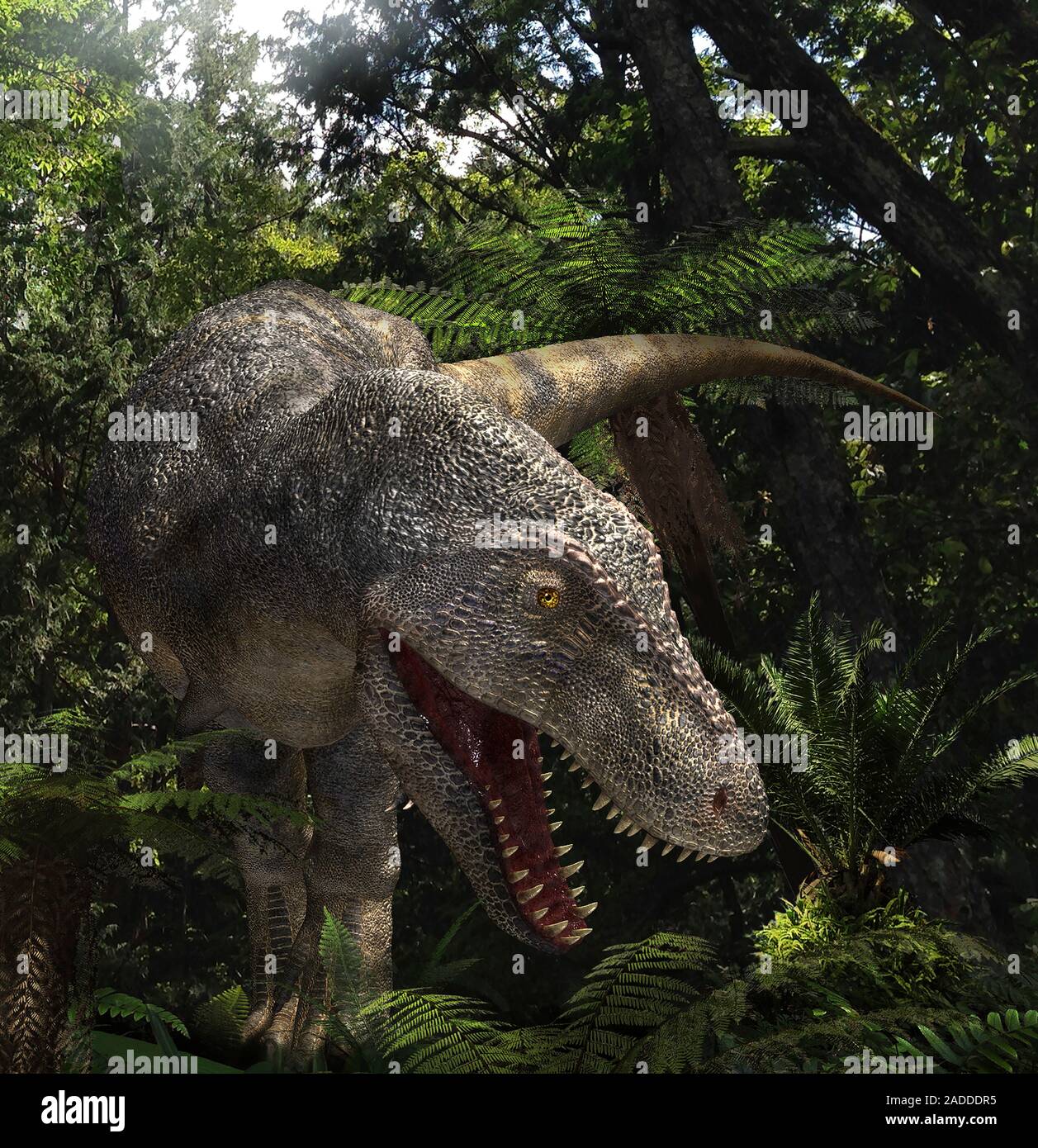 Tyrannosaurus dinosaur, illustration. The type species, Tyrannosaurus ...