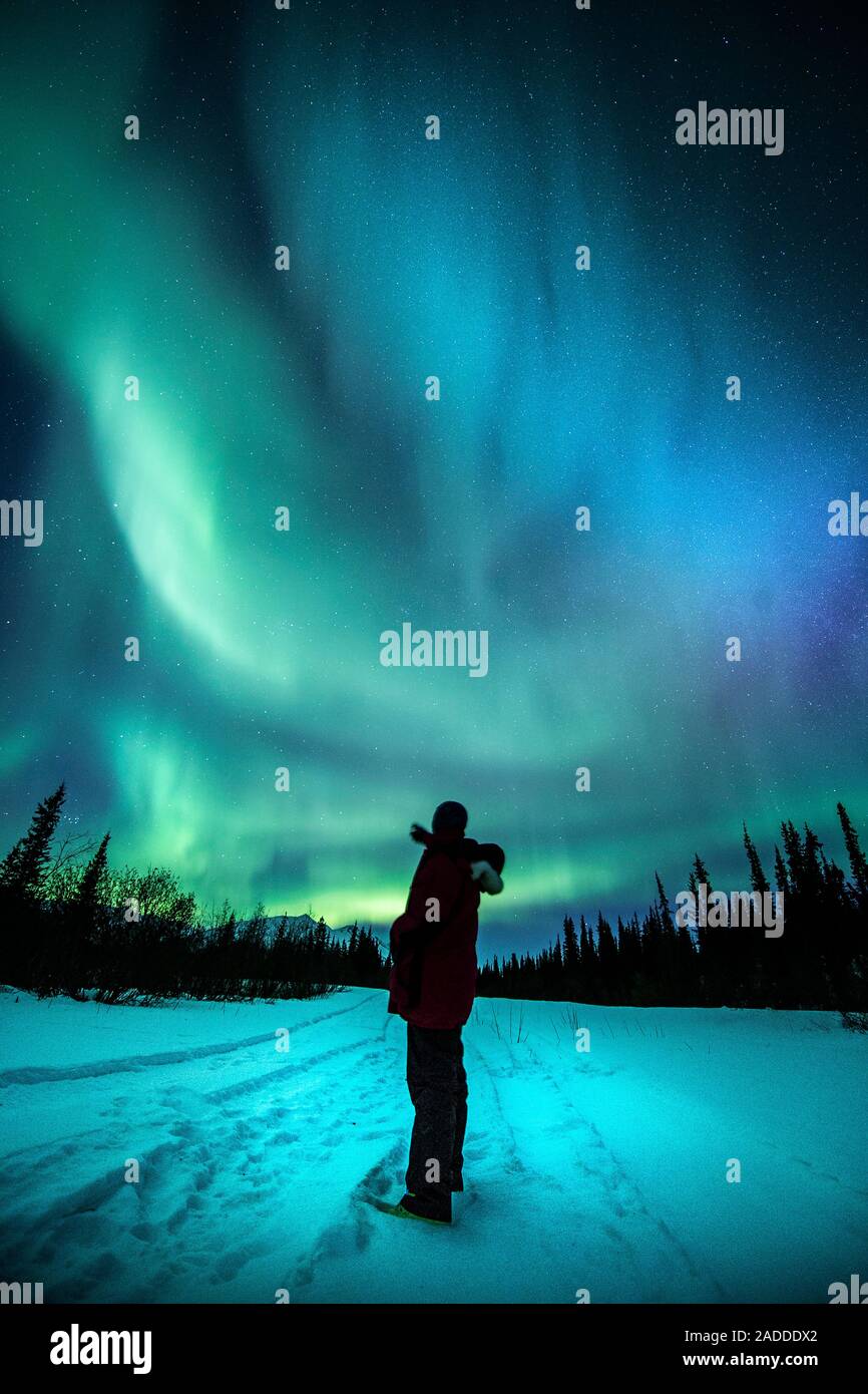 An observer watches an incredible display of the northern lights or ...