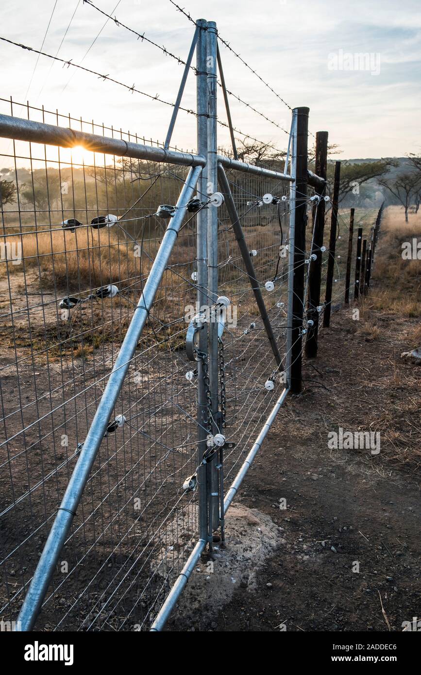 Electrified game fence and gates. Photographed at Albert Fall Nature ...
