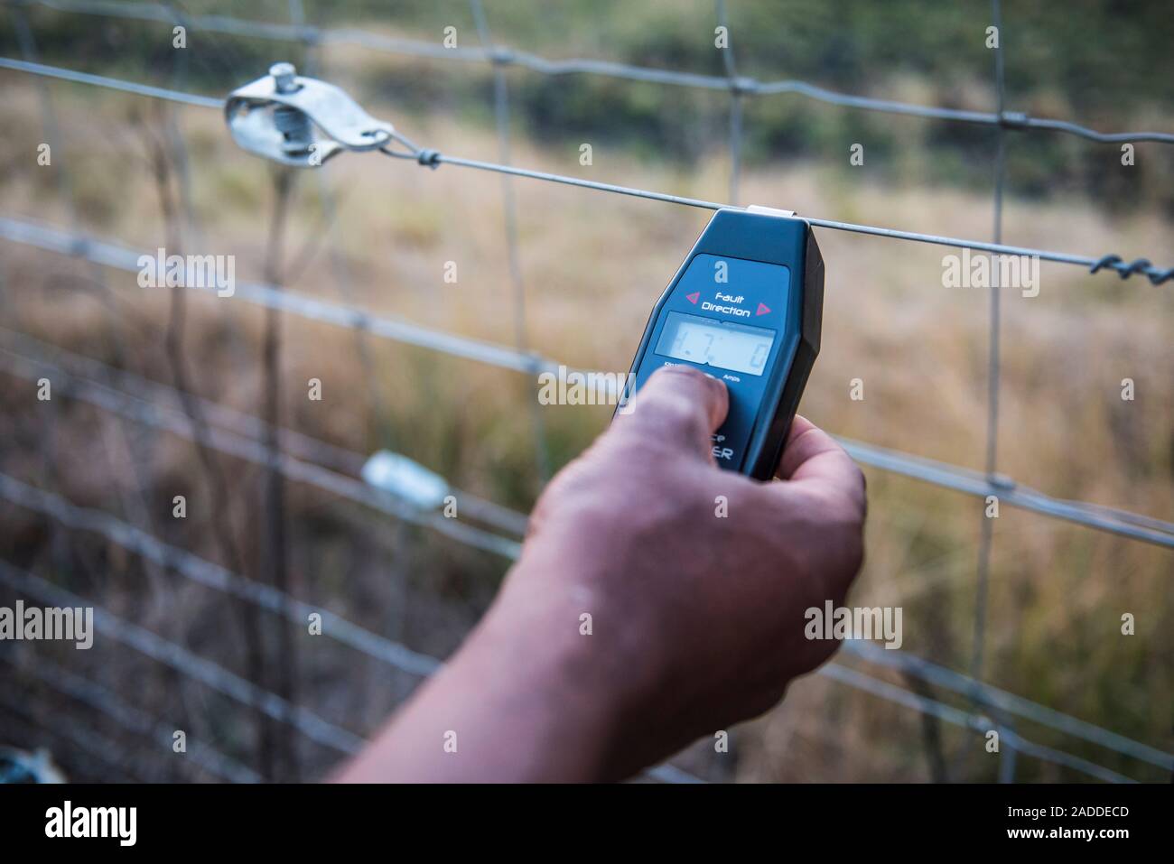 Testing the current output of an electrified game fence. Photographed ...