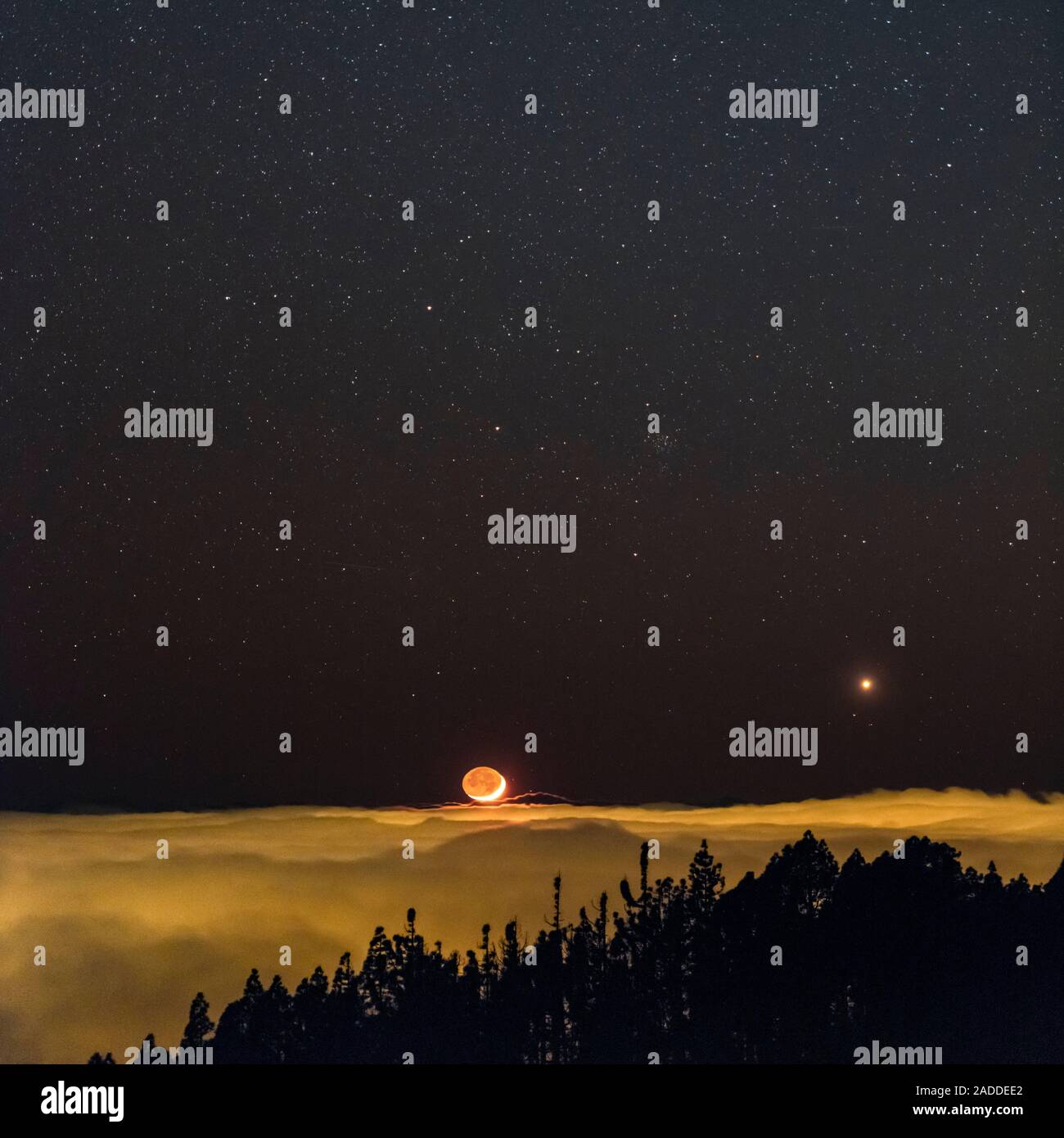 Setting Moon and Venus. Crescent Moon and Venus setting over clouds. At ...