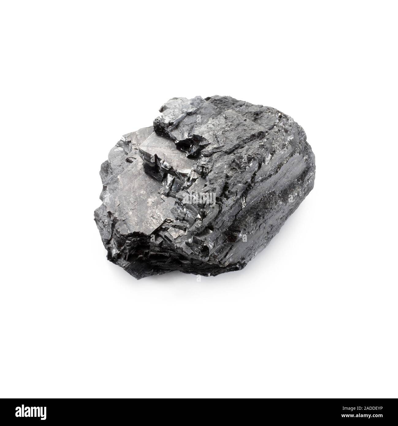 Coal. Sample of the sedimentary rock coal, which primarily consists of ...