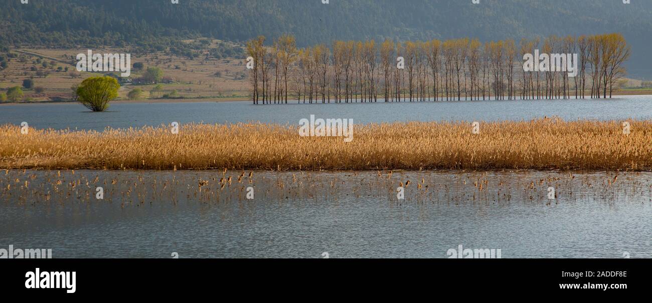 Stymphalia hi-res stock photography and images - Alamy