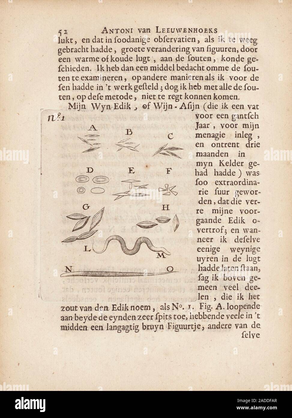 Crystals and vinegar eels by van Leeuwenhoek, described in a letter of ...