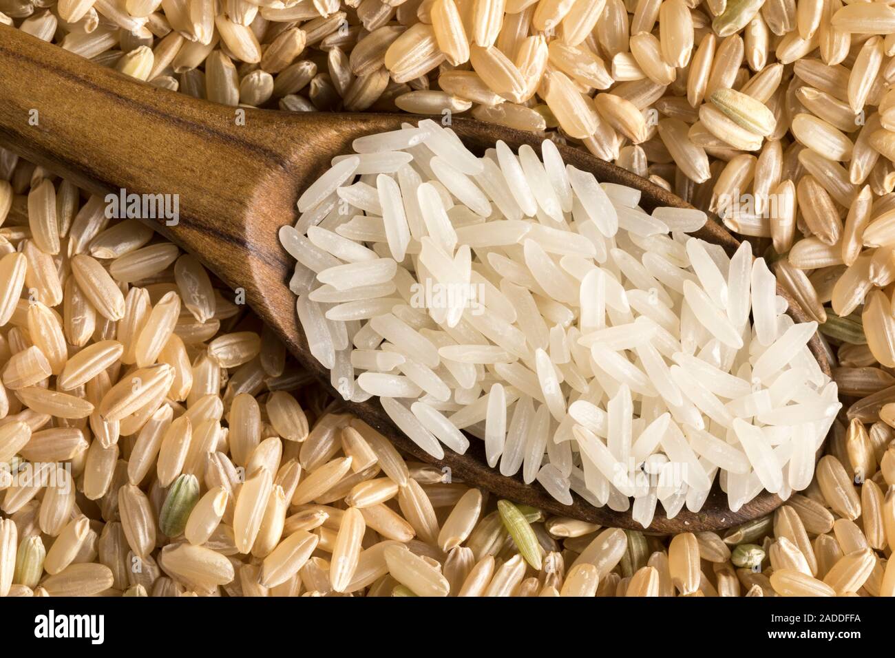 White rice (Oryza sativa) in the spoon is brown rice with the bran ...