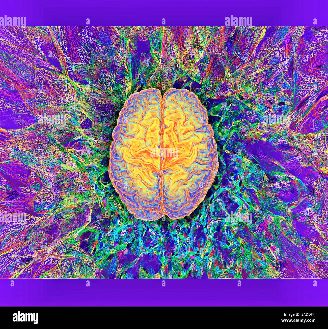 Human brain and abstract background, coloured 3D magnetic resonance imaging (MRI) scan. The ...